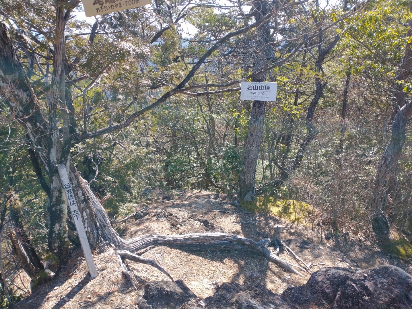 東栄町 尾籠岩山頂上付近でのこと: 日々の記録